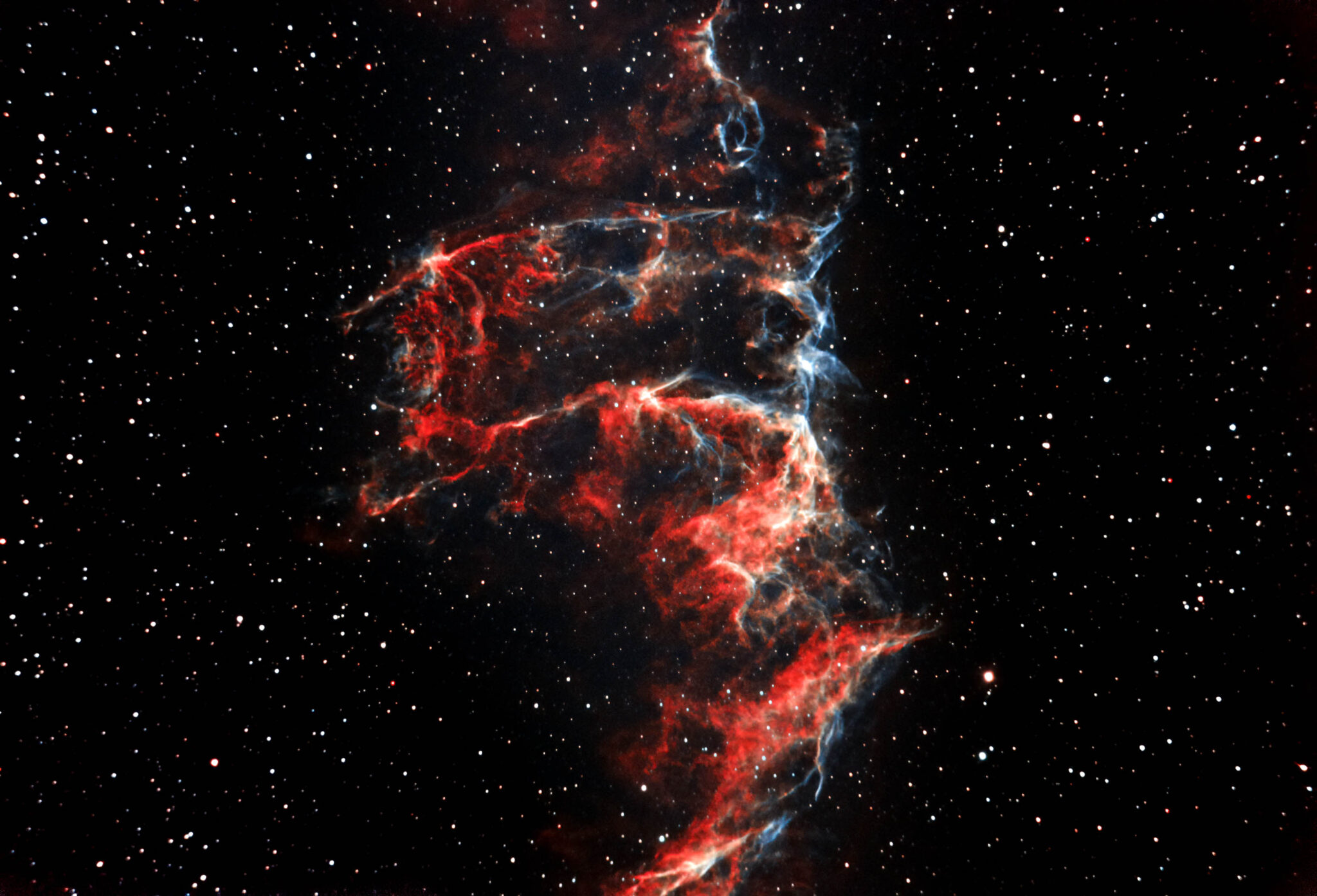 NGC 6995 The Bat Nebula - Sky & Telescope - Sky & Telescope