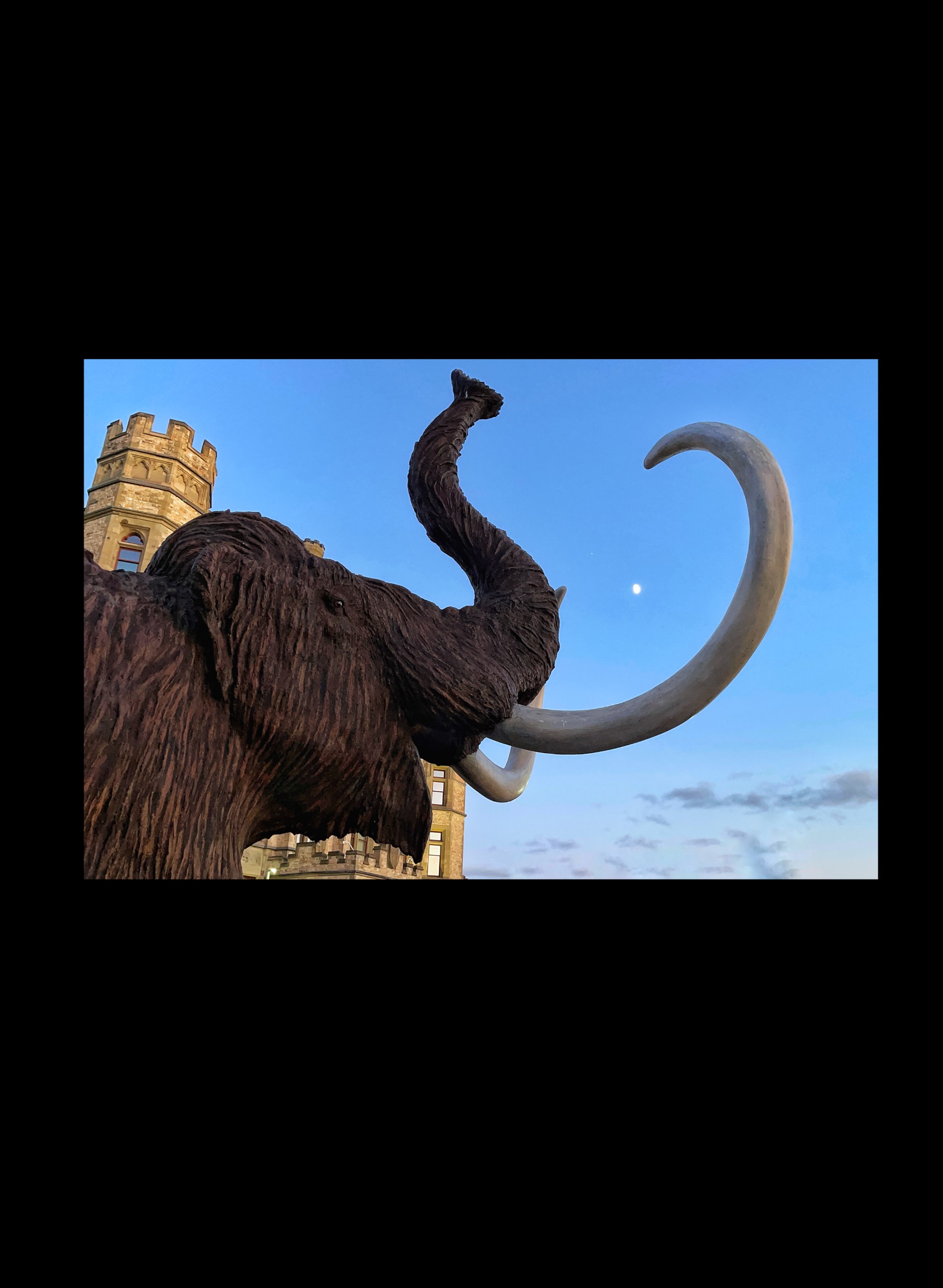 Mammoth moon and Jupiter - Sky & Telescope - Sky & Telescope