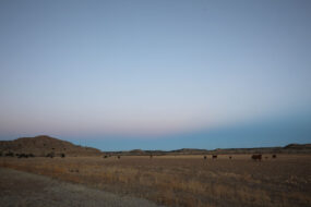 Uncovering Secrets of Earth's Shadow - Sky & Telescope - Sky & Telescope