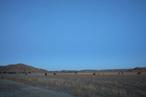 Uncovering Secrets of Earth's Shadow - Sky & Telescope - Sky & Telescope