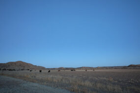 Uncovering Secrets of Earth's Shadow - Sky & Telescope - Sky & Telescope