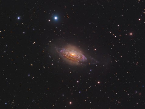 NGC3521 - Spiral Galaxy in the Constellation Leo | Bernard Miller - Sky ...