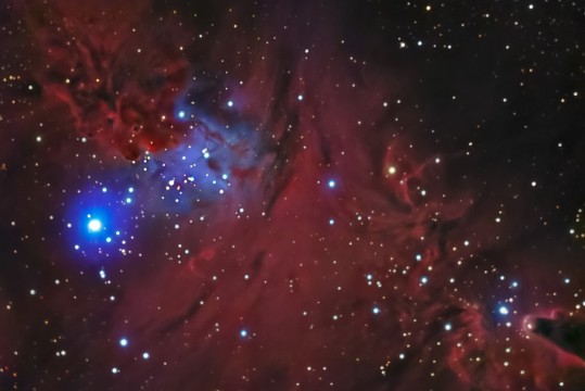 NGC 2264, The Christmas Tree Cluster, Fox Fur Nebula, and Cone Nebula ...