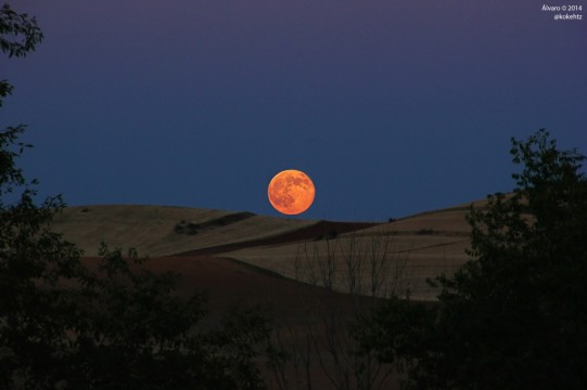 SuperMoon on July 12, 2014 - Sky & Telescope