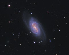 NGC 2903 - Sky & Telescope - Sky & Telescope