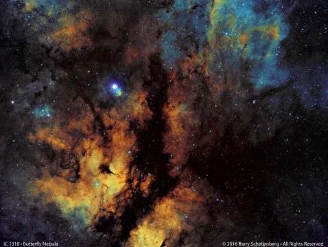 Butterfly Nebula in Narrowband - Sky & Telescope - Sky & Telescope