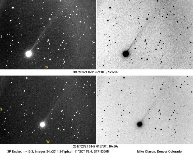 Comet 2P Encke in the Evening Sky - Sky & Telescope - Sky & Telescope