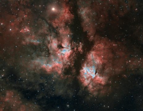 Sadr Region Nebula Complex in Cygnus - Sky & Telescope - Sky & Telescope