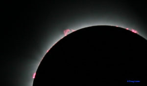 Solar prominences from 2017 total eclipse - Sky & Telescope - Sky ...