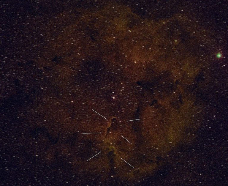 IC 1396 and the Elephant's Trunk Nebula - Sky & Telescope - Sky & Telescope