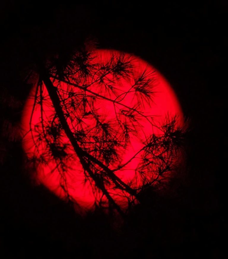 Blood Sun - Sky & Telescope - Sky & Telescope