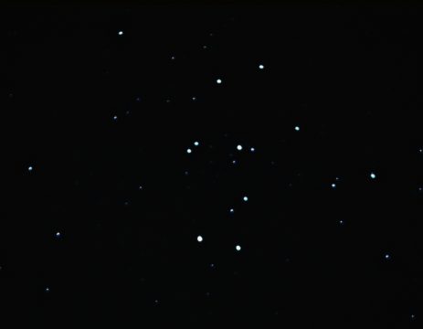 The Beehive Cluster, M44 - Sky & Telescope - Sky & Telescope