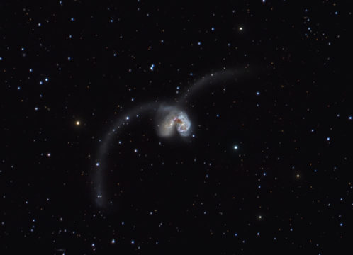 NGC 4038 & 4039 The antennae Galaxies - Sky & Telescope - Sky & Telescope