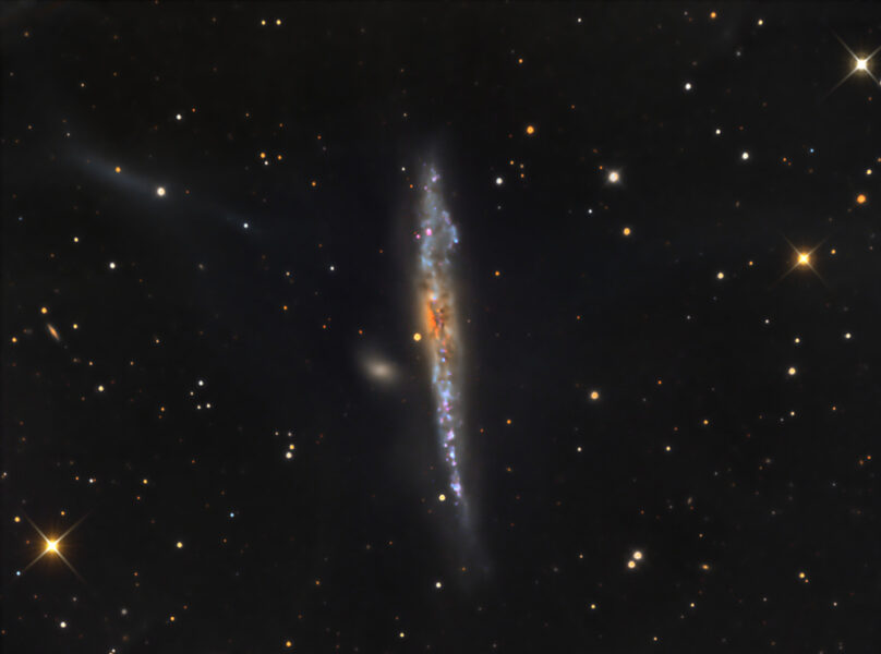 NGC 4631 - Whale Galaxy - Sky & Telescope - Sky & Telescope