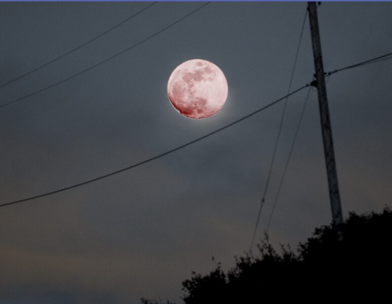 Strawberry Moon - Sky & Telescope - Sky & Telescope
