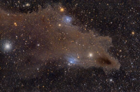 LDN 1235 The Dark Shark - Sky & Telescope - Sky & Telescope