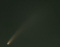 NEOWISE close-up - Sky & Telescope - Sky & Telescope