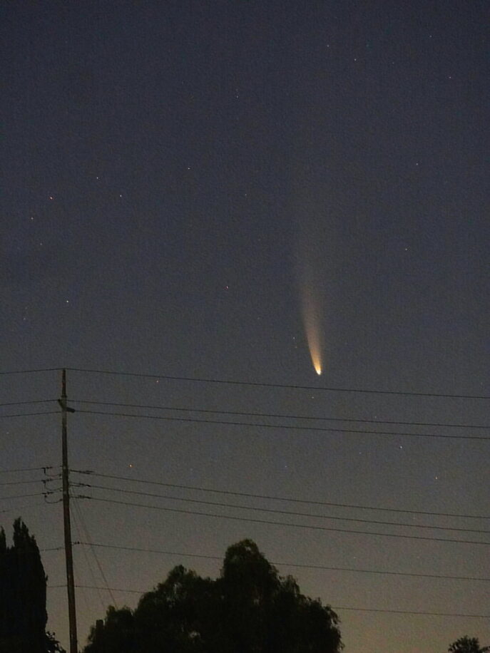 NEOWISE at dawn - Sky & Telescope - Sky & Telescope