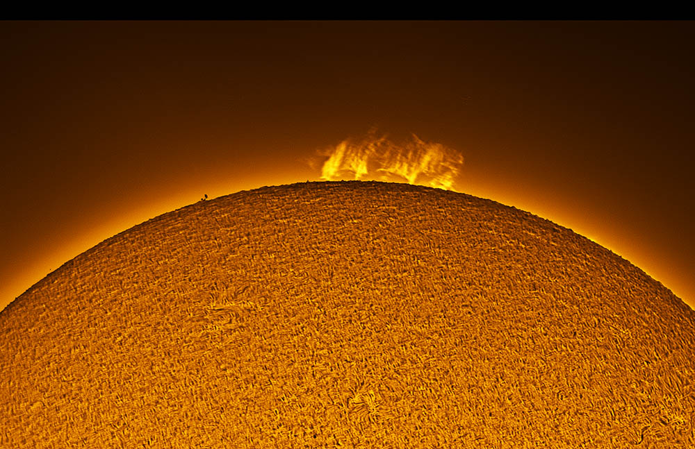 Solar image with huge prominence - Sky & Telescope - Sky & Telescope
