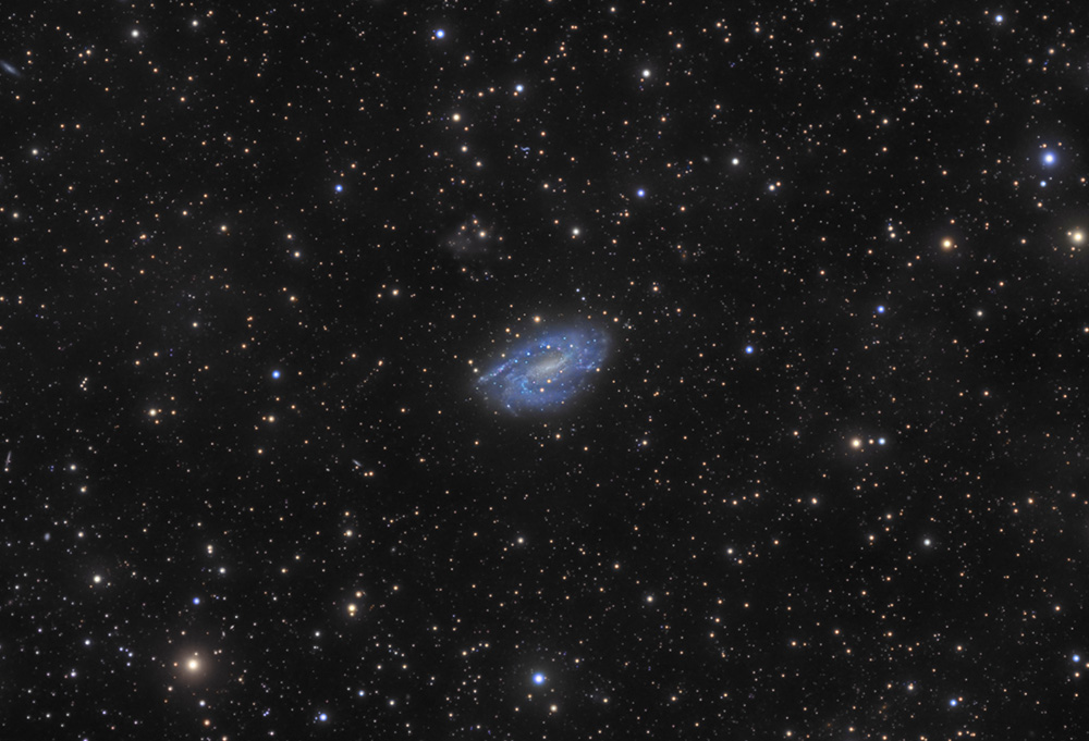 NGC 925 in IFN - Sky & Telescope - Sky & Telescope