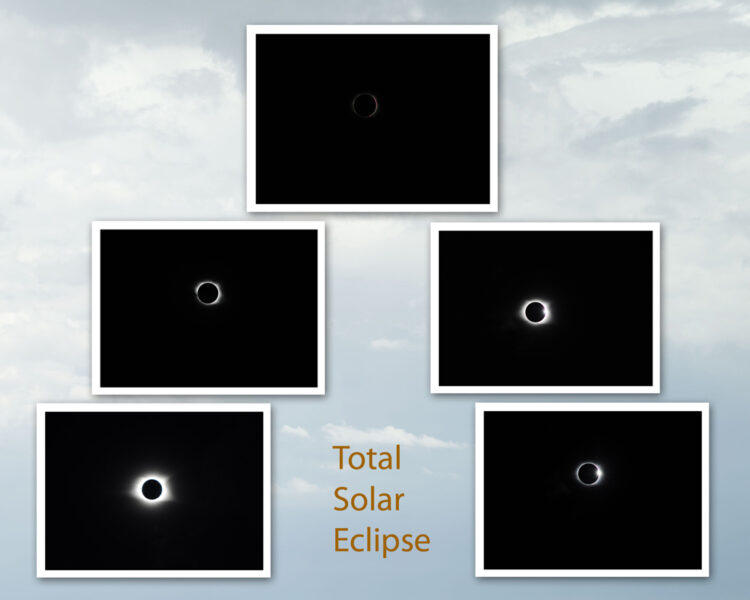 Solar Eclipse Collage - Sky & Telescope - Sky & Telescope