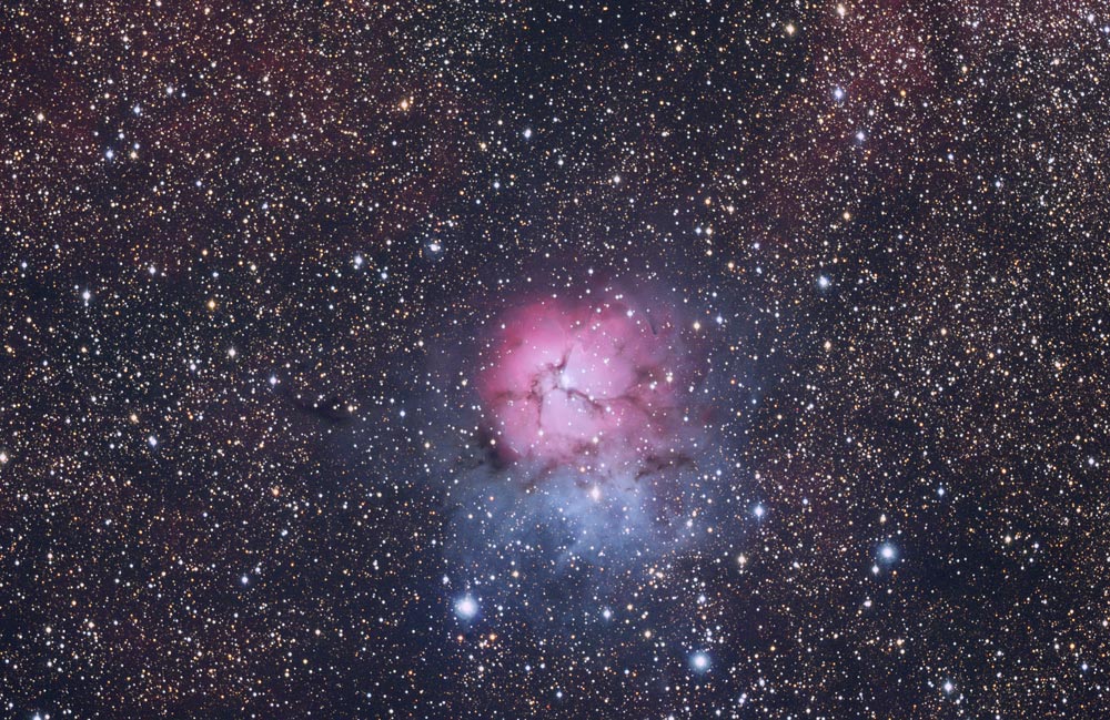 Bugs of Summer: Trifid Nebula - Sky & Telescope - Sky & Telescope