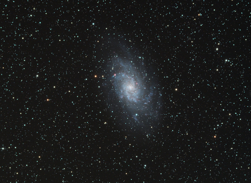 Triangulum Galaxy, M33, NGC 598 - Sky & Telescope - Sky & Telescope