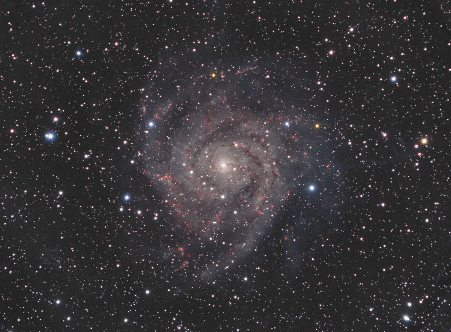 IC 342, the "Hidden Galaxy" - Sky & Telescope - Sky & Telescope