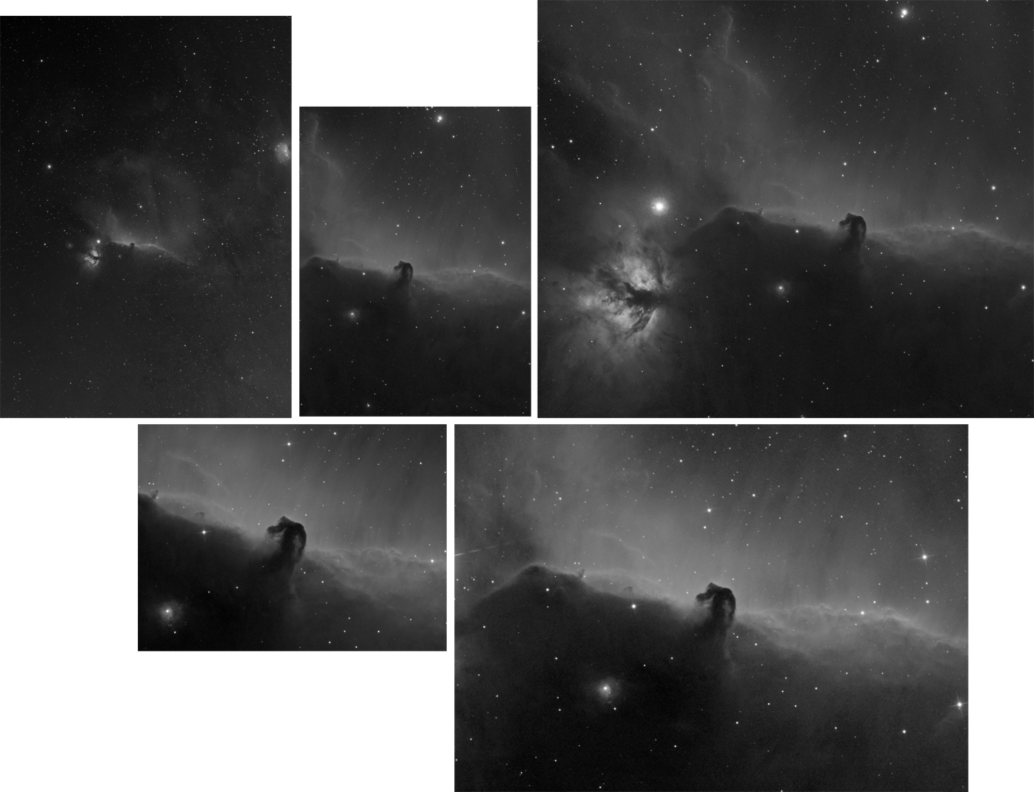 IC434 images - Sky & Telescope - Sky & Telescope
