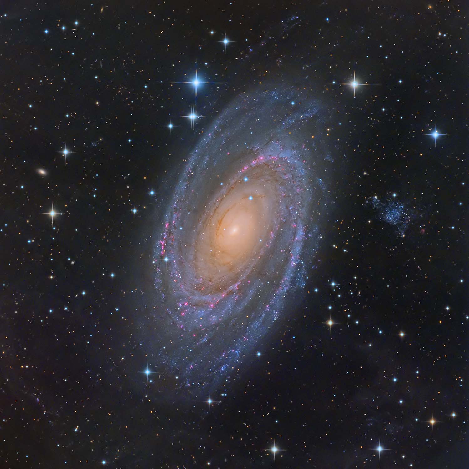 Bode's Galaxy (M81) - Sky & Telescope - Sky & Telescope