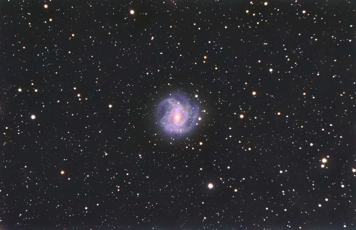 Messier 83 - Southern Pinwheel Galaxy - Sky & Telescope - Sky & Telescope