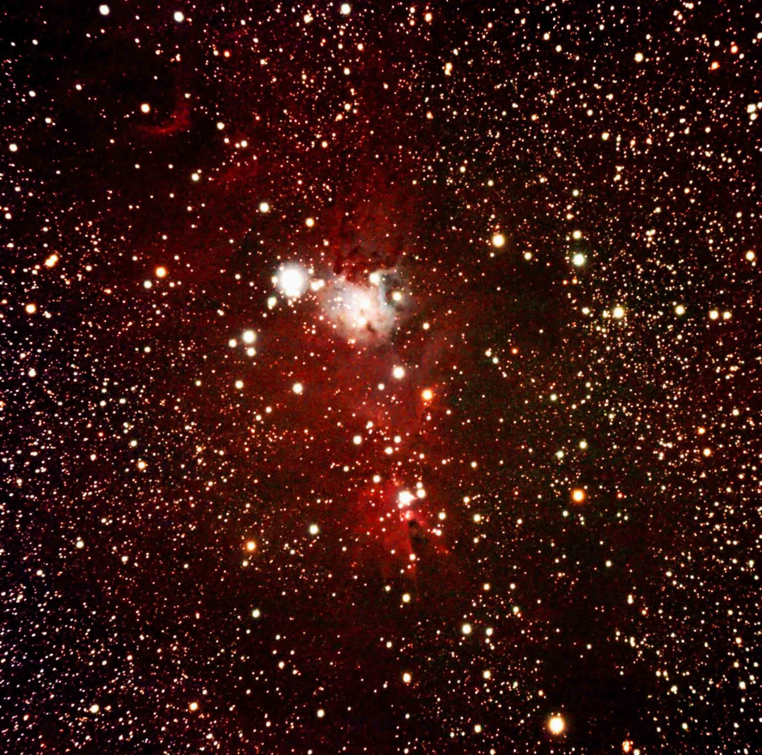 Cone and christmas tree nebulae - Sky & Telescope - Sky & Telescope