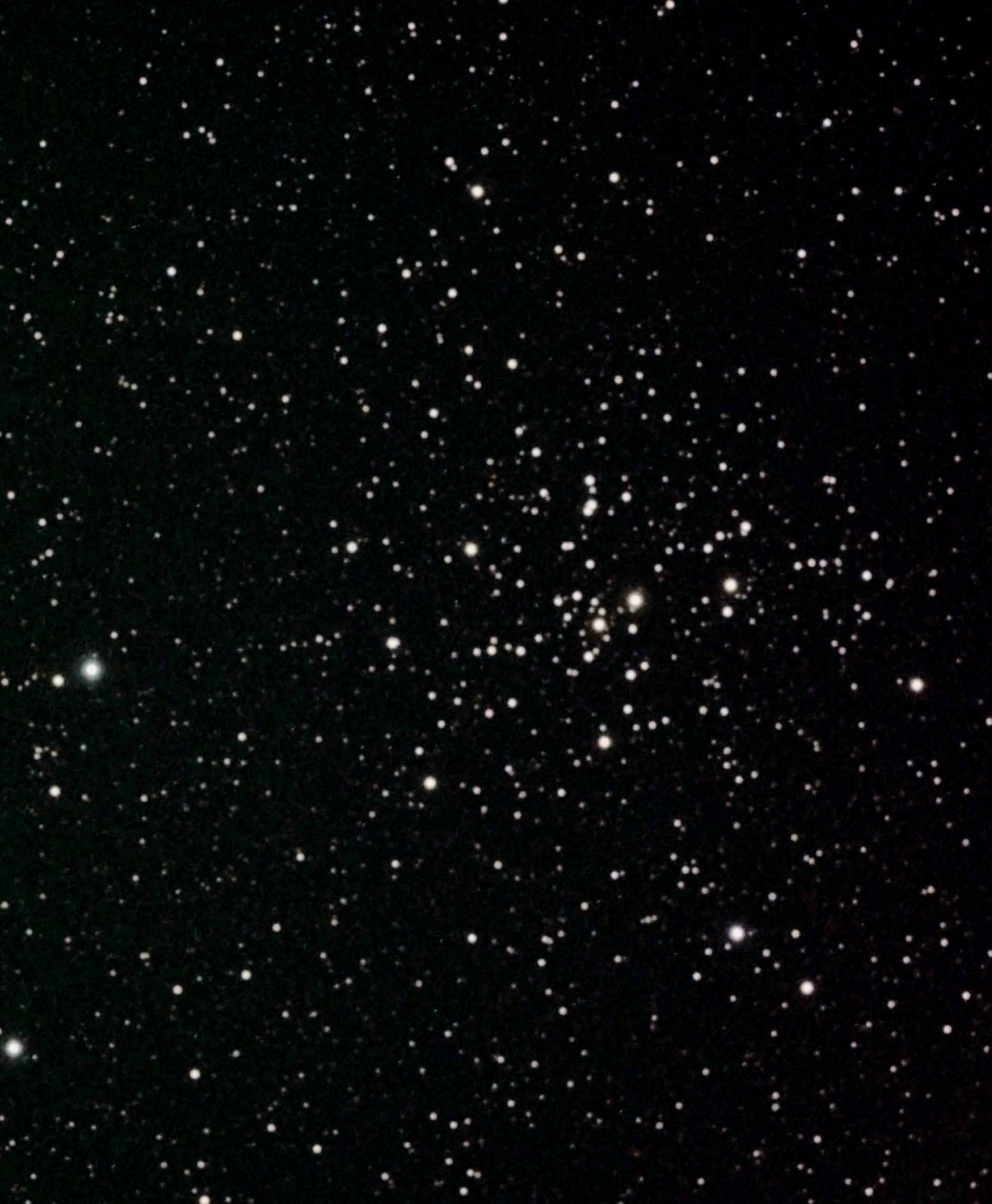 M41 in Canis Major - Sky & Telescope - Sky & Telescope