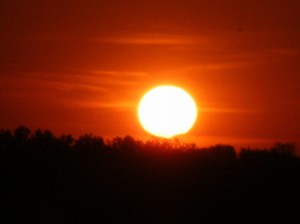 Solar Eclipse at sunset | Brad Timerson - Sky & Telescope - Sky & Telescope