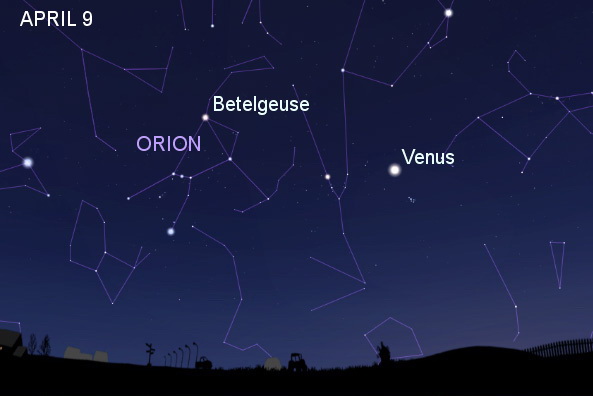 A Farewell to Orion - Sky & Telescope - Sky & Telescope