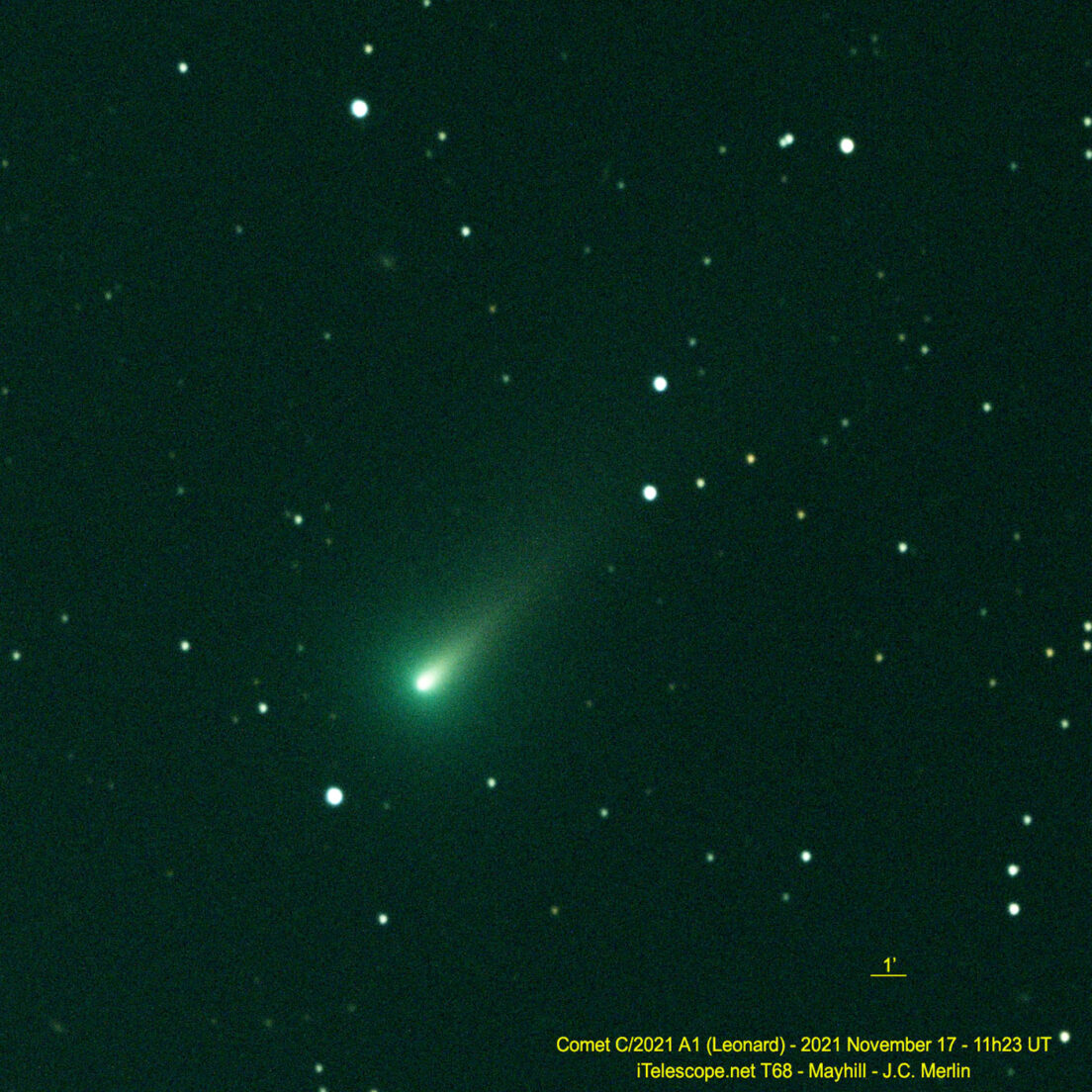 Comet C/2021 A1 (Leonard) - Sky & Telescope - Sky & Telescope