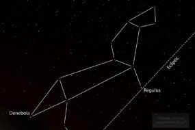 Meet Denebola, and Catch a Lion by the Tail - Sky & Telescope - Sky ...