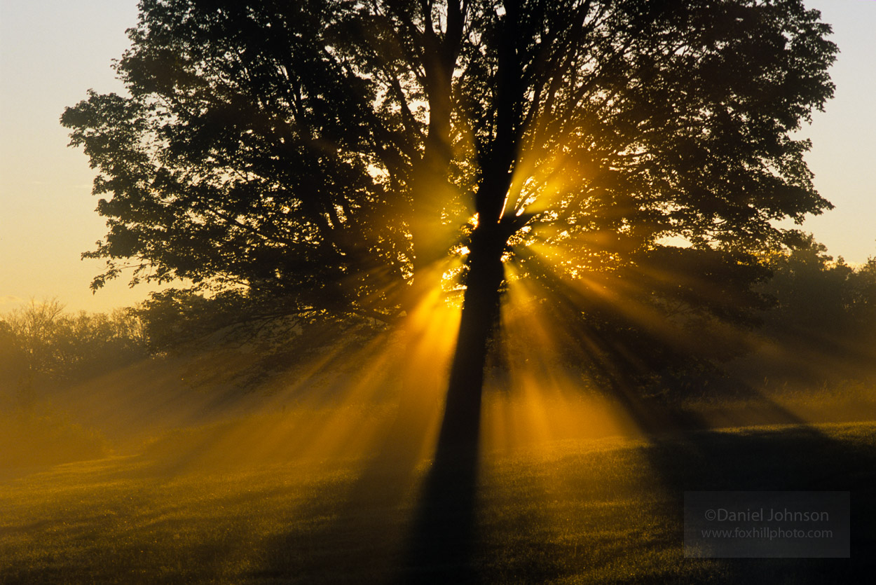 Meet The Sun, Our Home Star - Sky & Telescope - Sky & Telescope