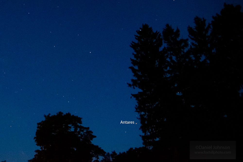 Meet Antares: The Star That Is Not Mars - Sky & Telescope - Sky & Telescope
