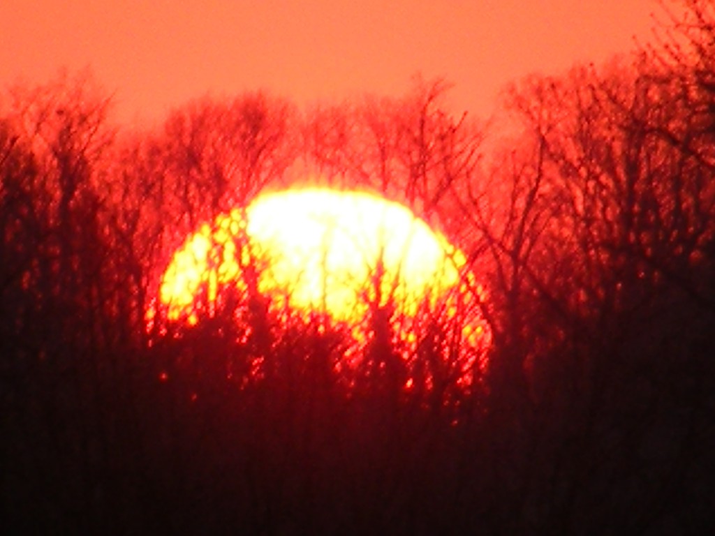 SUN FIRE | GARY MOORE - Sky & Telescope