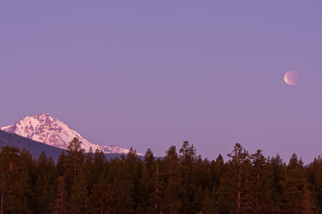 Eclipse | Rick Ellbeg - Sky & Telescope