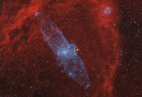 Flying Bat and Squid Nebula - Sky & Telescope - Sky & Telescope