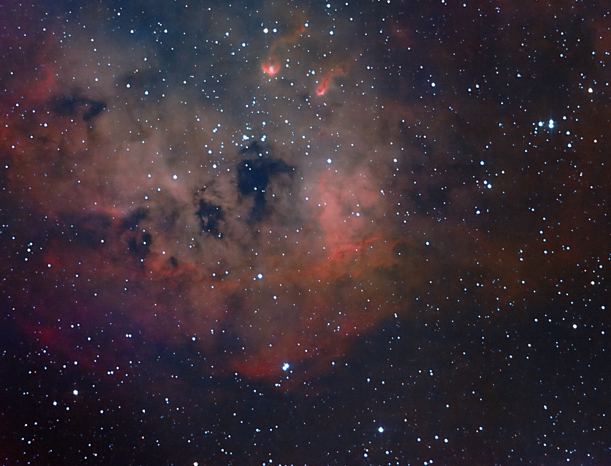 IC 410, The Tadpole Nebula - Sky & Telescope - Sky & Telescope