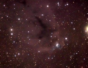 LDN 1622 | Mark Sibole - Sky & Telescope - Sky & Telescope