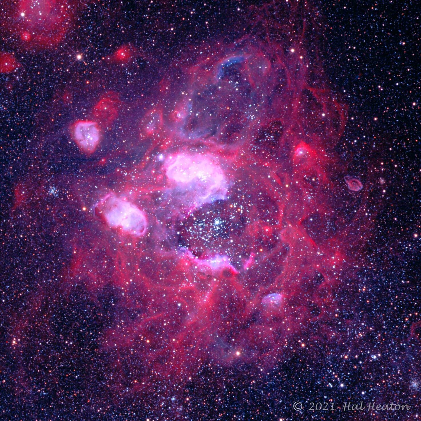 N11: The Second-largest HII Region in the LMC - Sky & Telescope - Sky ...