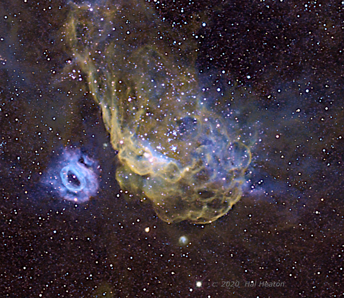 Bubble Nebulae from Massive Stars: NGC 2020 and 2014 - Sky & Telescope ...