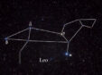 Meet Denebola, and Catch a Lion by the Tail - Sky & Telescope - Sky ...