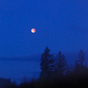Foggy Lunar Eclipse | Tony Puerzer - Sky & Telescope - Sky & Telescope