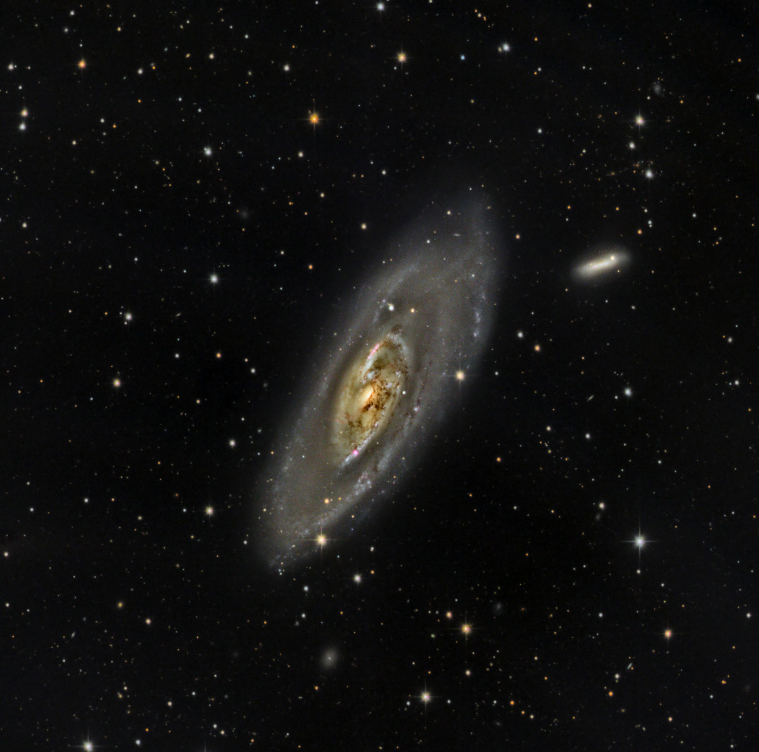 M106 - Sky & Telescope - Sky & Telescope