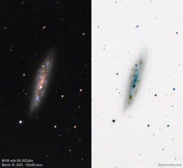 Supernova SN 2023dbc in M108, Surfboard Galaxy - Sky & Telescope - Sky & Telescope